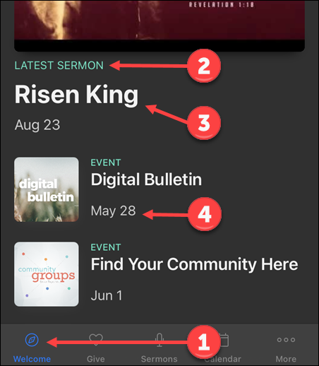 Choose Your Mobile App Colors & Theme – Amplify Help Desk